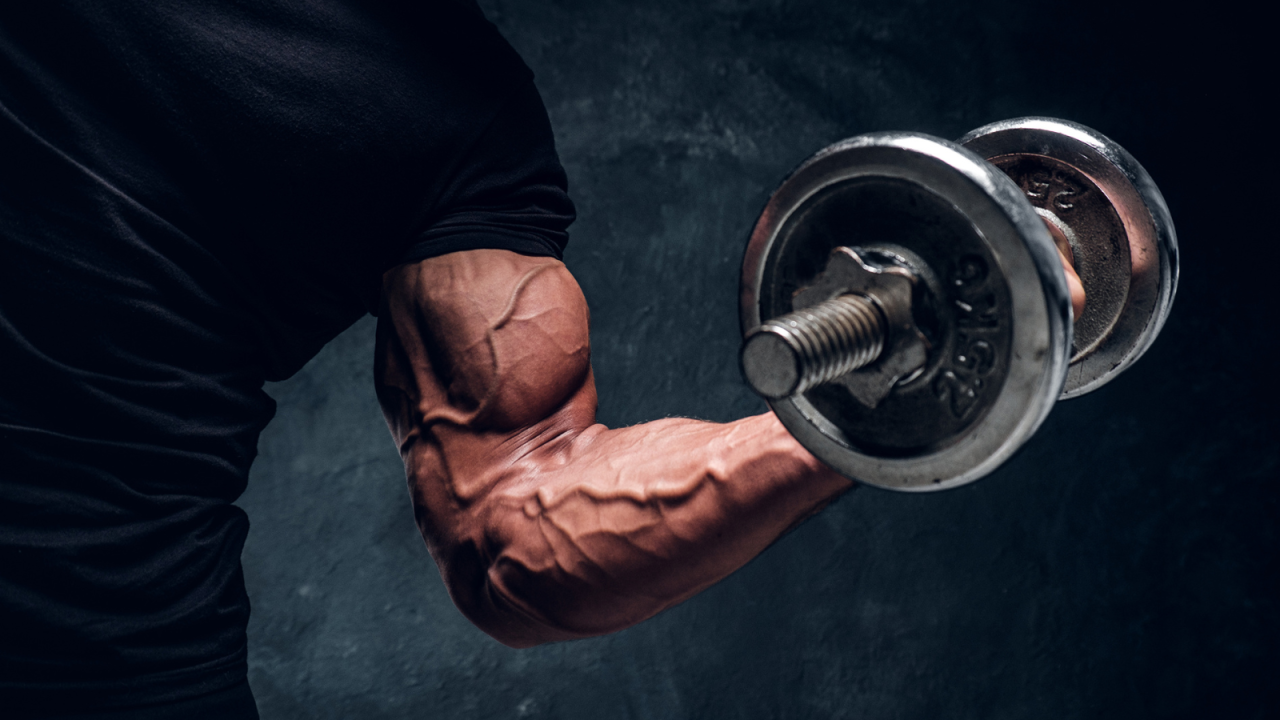 Anabolic Steroids and IPEDs | UK Anti-Doping